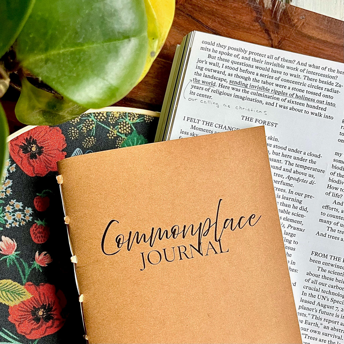 Commonplace Journal Insert – Juniper Grove